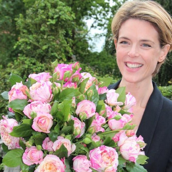 Julie Andrieu ® | Climbing Roses | Garden Rose Bush – Famous Roses World